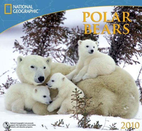 Polar Bears National Geographic 2010 Wall Calendar: Zebra Publishing ...