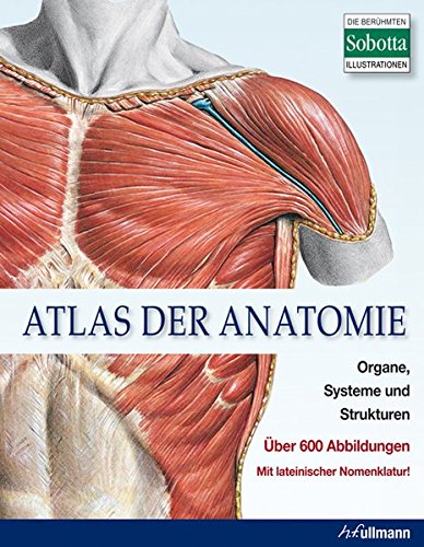 Amazon.com: Atlas der Anatomie: 9783848007646: Books