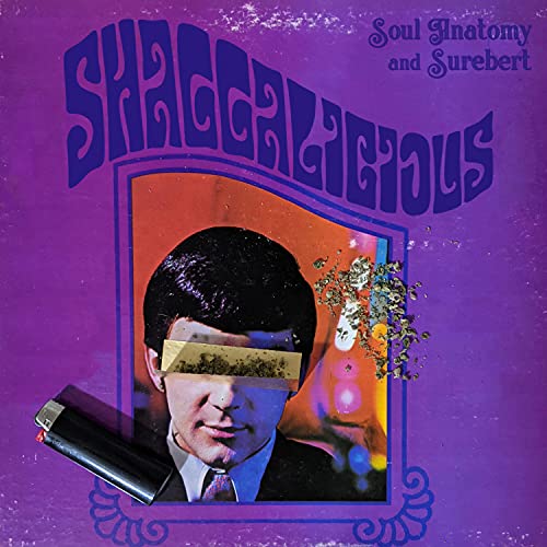Shaggalicious (feat. Soul Anatomy) de Surebert feat. Soul Anatomy en ...