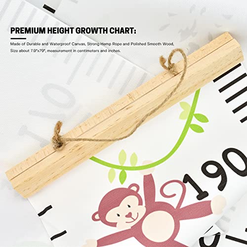 Bailinks Wall Measuring Tape Children, Baby Height Growth Chart ...