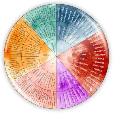 Amazon.com: Mental Health Rubber Soft Magnetic Gifts - Emotion Wheel ...