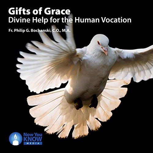 Amazon.com: Gifts of Grace: Divine Help for the Human Vocation (Audible ...