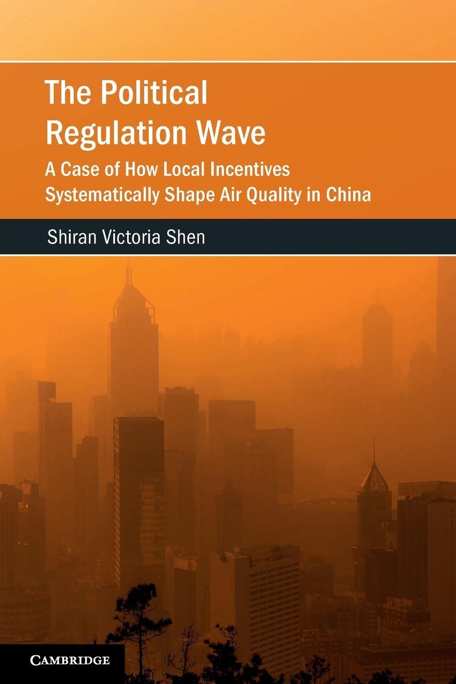 The Political Regulation Wave (Cambridge Studies on Environment, Energy ...