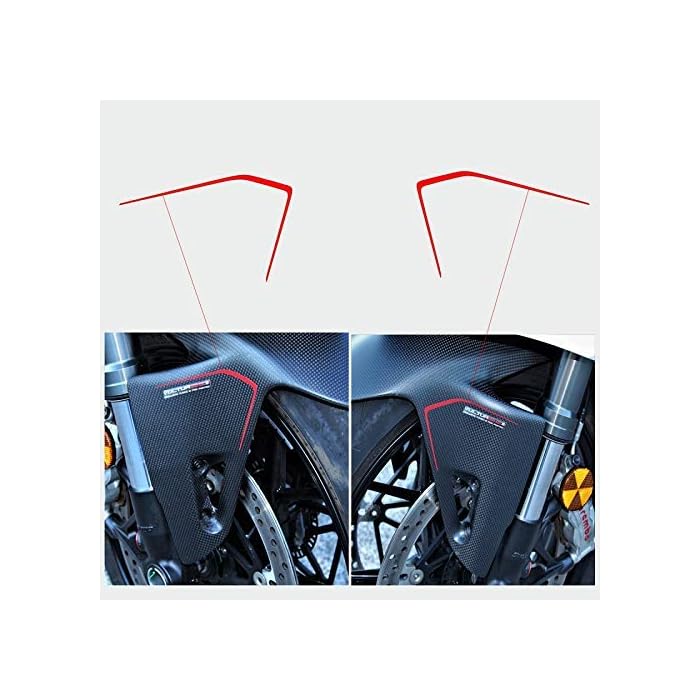 Buy Vulturbike Stickers For Front Fender - Ducati Panigale V4/V2 2020 ...