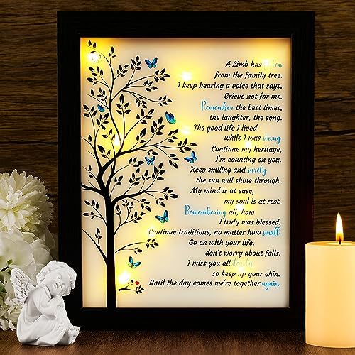 Amazon.com - WOODEXPE Sympathy Gift LED Memorial Shadow Box 11x11 ...