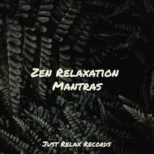 Zen Relaxation Mantras von Smart Baby Lullaby bei Amazon Music - Amazon.de