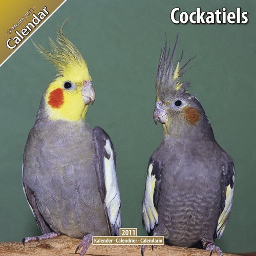 Cockatiels 2011 Wall Calendar #11085-11: Pet Prints: 9781846629815 ...