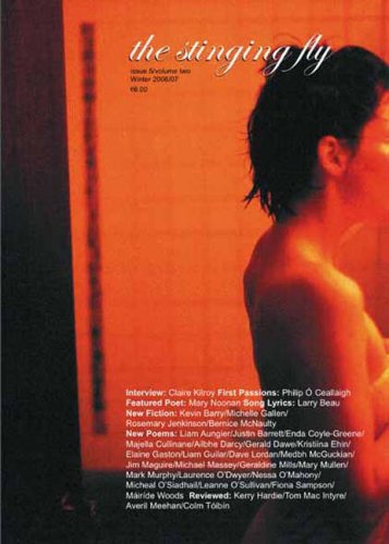 Stinging Fly (Issue 5): Declan Meade: 9780955015236: Amazon.com: Books