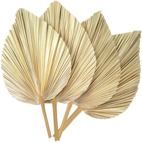 Amazon.com: 4 Pcs Natural Boho Large Dried Palm Leaves Fans with Stem ...