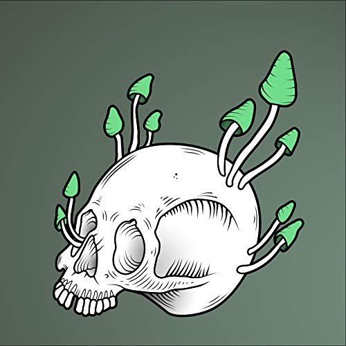 Syrak by Skwiggs on Amazon Music - Amazon.com