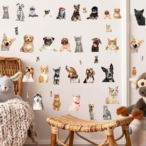 Amazon.com: Cute Cat Dog Wall Stickers Cat Dog Window Decals Funny Pet ...