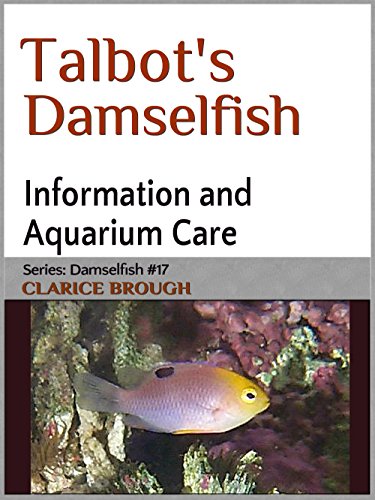 Talbot's Damselfish , Brough, Clarice - Amazon.com
