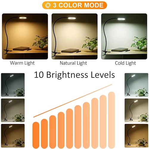 LED Desk Lamp, Rotatable Arm Table Lamps with Clamp | USB Powered – 3 ...