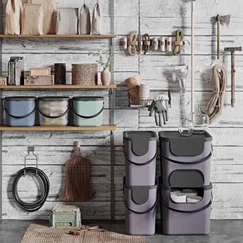 Rotho Albula Storage Box with Lid, Plastic (PP Recycled), Transparent ...