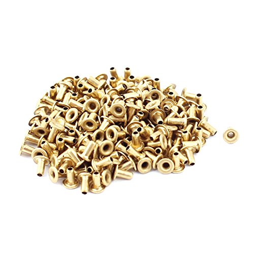 Amazon.com: Uxcell a15091700ux0367 M1.5x3 Through Hole Rivets Hollow ...