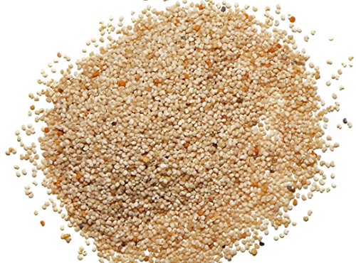 NatureHerbs Khas Khas Poppy Seeds, 200 Gm : Amazon.in: Grocery ...