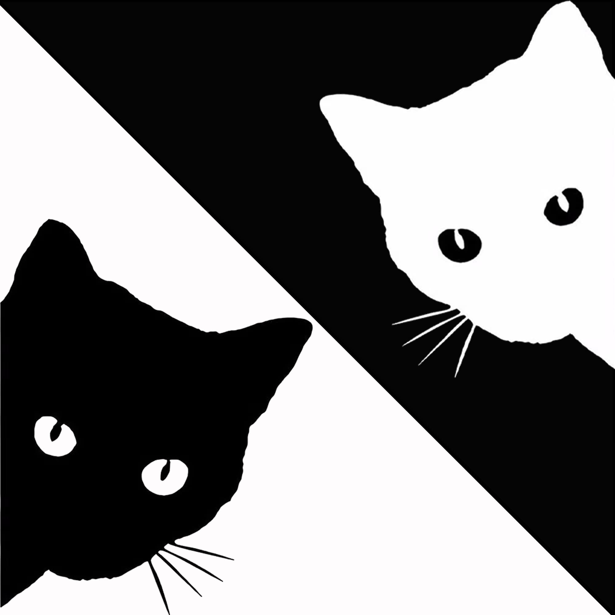 Buy Cekaso 2 PCS Cute Cat Peeking Bumper Stickers,Black and White ...