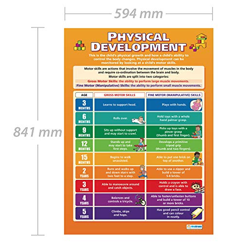 Physical Development | Child Development Posters | Gloss Paper ...