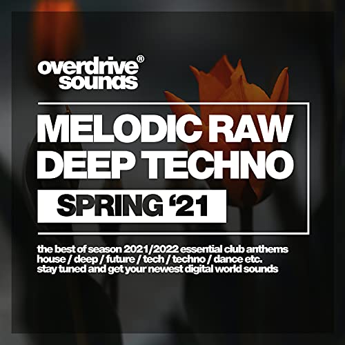 Spiele Melodic Raw Deep Techno (Spring '21) von Boris Ginger, Marcelo ...