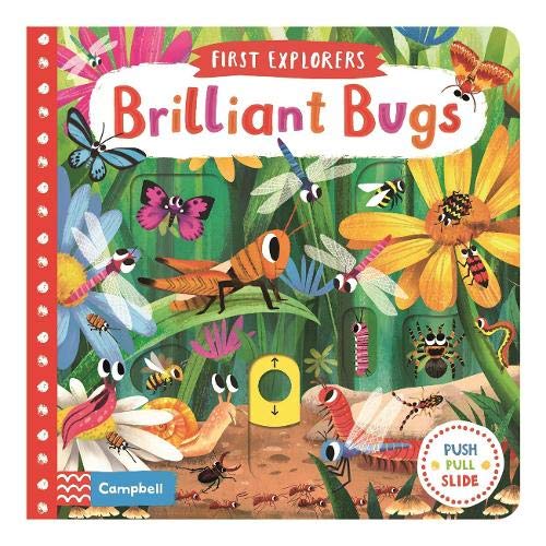 Brilliant Bugs (Campbell First Explorers, 8): Amazon.co.uk: Chorkung ...