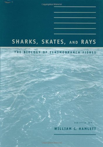 Sharks, Skates, and Rays: The Biology of Elasmobranch Fishes (1999-04 ...