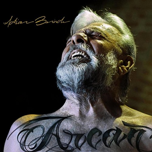 Amazon.com: Arcan : Adrian Berinde: Digital Music