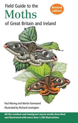 Field Guide to the Moths of Great Britain and Ireland: Amazon.co.uk ...