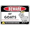 Amazon.com : Venicor Beware of Goat Sign Decor - 8 x 12 Inches ...