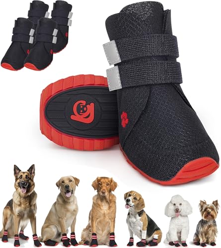Dog Shoes That Stay On – The 15 best products compared - Wild Explained