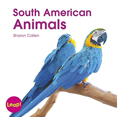 Amazon.com: South American Animals (Leap! Set C: Life Cycles ...