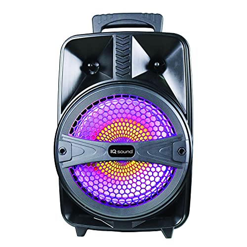 Top 10 Best 1000 Watt Bluetooth Speaker : Reviews & Buying Guide - Katynel