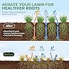Amazon.com : Walensee Four-Row Spike Lawn Aerator,Manual Heavy-Duty ...