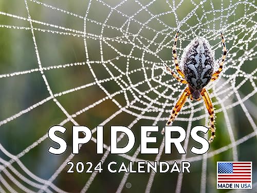 Poster Foundry Spider 2023 Wall Calendar Monthly Daily Weekly Planner ...