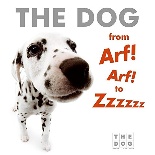 Dog from Arf! Arf! to Zzzzzz Board Book, The | Amazon.com.br