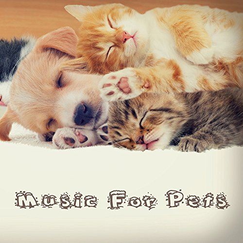 Play Music For Pets : A Restful Rest Vol 1. by Music For Pets on Amazon ...