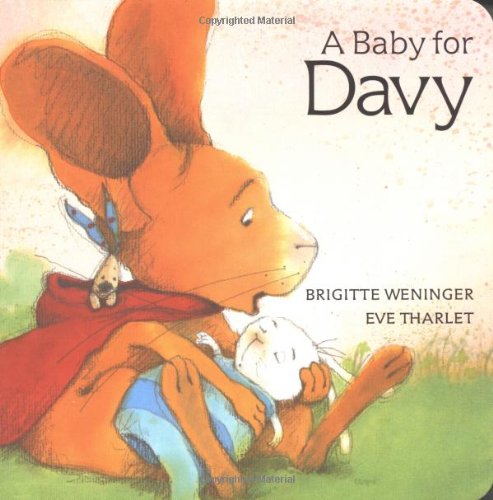 A Baby for Davy: Weninger, Brigitte, Tharlet, Eve: 9780735817463 ...