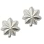 Amazon.com: US Air Force Brite Metal Officer Rank (O5 Lieutenant ...