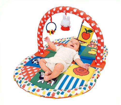 Amazon.com : Gym Anywhere Soft Miffy 62-16 Apollo Inc. : Toy Figures : Baby