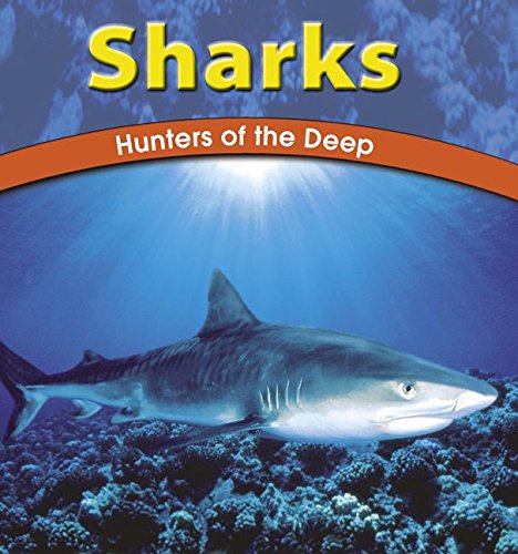Sharks: Hunters of the Deep (Wild World of Animals): Schaefer, Lola M ...