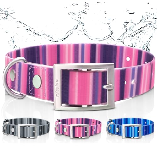 10 Best Waterproof Dog Collar