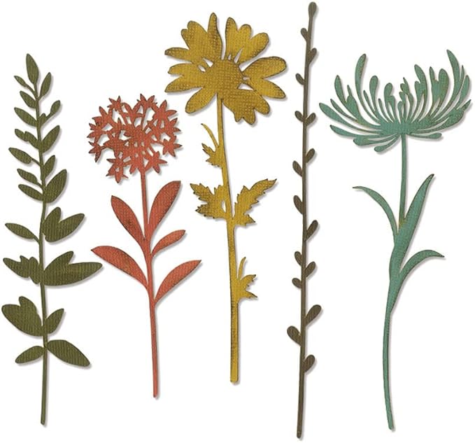 Amazon.com: Sizzix Thinlits Die Set , Wildflower Stems #1 by Tim Holtz, 5 Pack, One Size ...