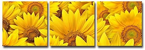 Amazon.com: 3 Panel Sunflower Canvas Prints for Home Decoration ...