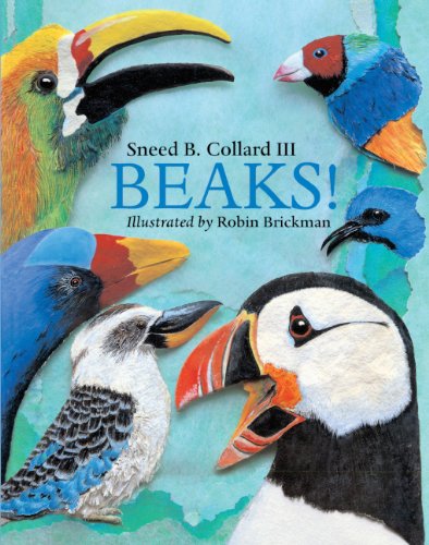Beaks : Amazon.in: Books