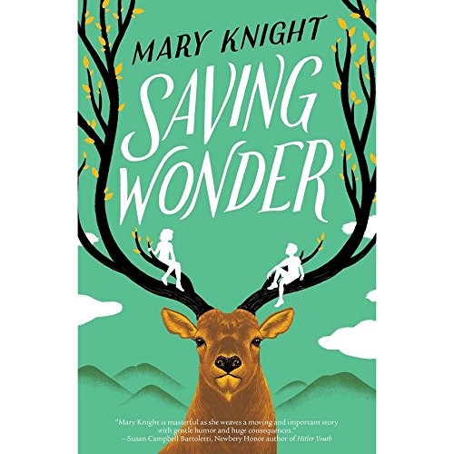 Saving Wonder: Knight, Mary: 9780545828932: Amazon.com: Books