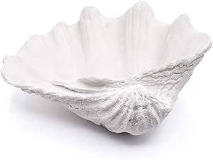 Amazon.com: ALIWINER Seashell Decorative Scalloped Bowl Clam Shell Bowl ...