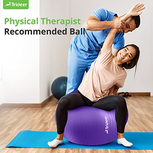 Snapklik.com : Trideer Yoga Ball - Exercise Ball For Workout Pilates ...