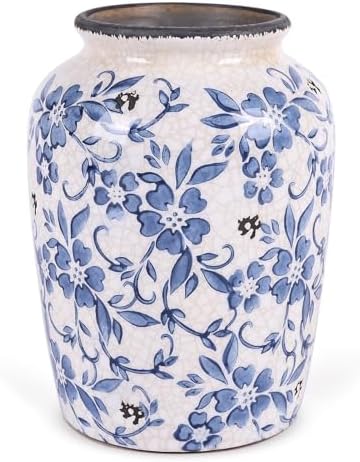 The Little Blue Fly's Amazon Page