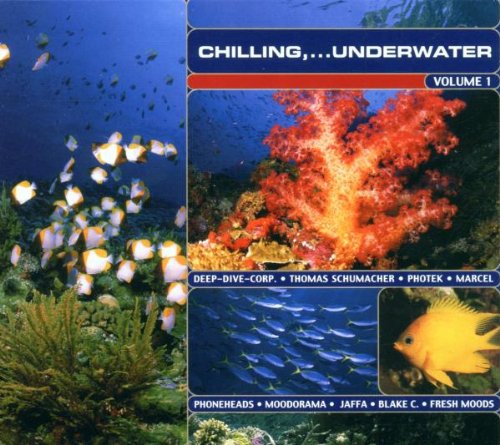 Chilling...Underwater Vol.1: Amazon.es: CD y vinilos}