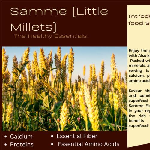 Unpolished Little Millet (Saame) 500 Gms Pack of 2 : Amazon.in: Grocery ...