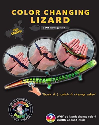 Amazon.com: Color Changing Lizard